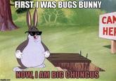 Big Chungus | Know Your Meme
