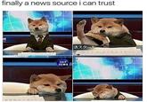 Doge | Know Your Meme