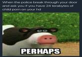HD Perhaps Cow | Perhaps | Know Your Meme