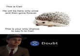 me_irl | Carl the Hedgehog | Know Your Meme