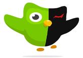Coming Soon | Evil Duolingo Owl | Know Your Meme