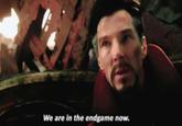 We Are In the Endgame Now GIF | We Are In the Endgame Now | Know Your Meme