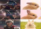 step brothers | Thor | Know Your Meme