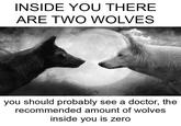 The Wolves Inside You | Inside You There Are Two Wolves | Know Your Meme