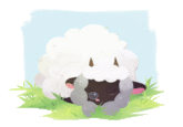 The internet has found the sheep | Wooloo | Know Your Meme
