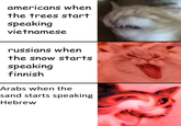 The Trees Speak in Vietnamese | Know Your Meme