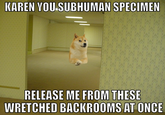 When you finally kill that pesky entity... | The Backrooms | Know Your Meme