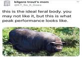 Eboshi The Hog Killer | 30-50 Feral Hogs | Know Your Meme