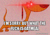 Dog in a wheelchair | What The Fuck Is Oatmeal | Know Your Meme
