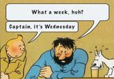 Tintin / Captain Haddock Meme - What a week, huh? Captain, it's ...