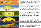 Well that answers that question | Rule 34 | Know Your Meme