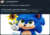 Sonic rescue Amy | Sonic the Hedgehog (2020 Film) | Know Your Meme