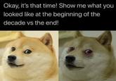 Doge | Know Your Meme