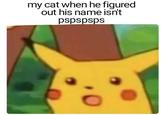 Sony PSPSPS | Pspspsps | Know Your Meme