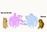 FEET DOGE | Foot Fetishism | Know Your Meme
