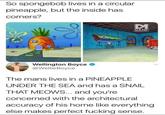 Noooo | SpongeBob SquarePants | Know Your Meme