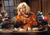 [SAM INTENSIFIES] | The Muppets | Know Your Meme