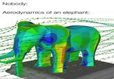 Aerodynamics of an Elephant | Know Your Meme