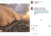 the chicken | Dust Storm Dog | Know Your Meme