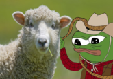 widepeepoBlanket | Peepo | Know Your Meme