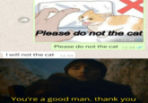 Please Do Not The Cat | Know Your Meme
