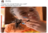 How The Email Finds Me | Know Your Meme