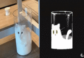 A little something that can help if you want to animate tails ...