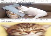 magnified | Crying Cat | Know Your Meme