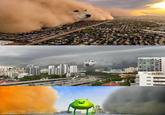 dogo sand storm | Dust Storm Dog | Know Your Meme