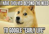 Early life check | "Early Life" Wikipedia Section | Know Your Meme