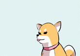 Art by Cartoon Triper | Butterscotch the Shiba Inu | Know Your Meme