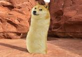 le depressed doge template has arrived | /r/dogelore | Ironic Doge ...
