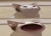 Pop Cat GIF | Pop Cat | Know Your Meme