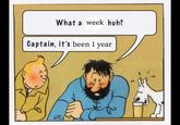 Tintin / Captain Haddock Meme - What a week, huh? Captain, it's ...