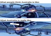 Yes | Australia | Know Your Meme