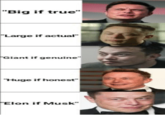 Big, If True | Know Your Meme