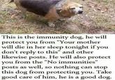 [Image - 374626] | Dogs | Know Your Meme