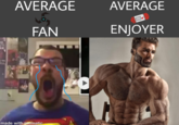 wholesome 100 | Average Fan vs. Average Enjoyer | Know Your Meme