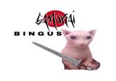 Bingus | Know Your Meme