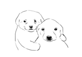 Jotchua and Friend | Jotchua | Know Your Meme