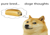 [Image - 601578] | Doge | Know Your Meme