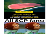 WHAT IN THE SCPF | SCP Foundation | Know Your Meme