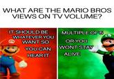Mario Bros. Views / Mario Says | Know Your Meme