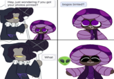 Bogos Binted Full Context | Bogos Binted | Know Your Meme