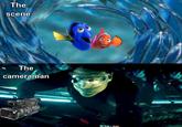 Finding Nemo | Know Your Meme