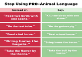 Stop Using Anti-Animal Language | Know Your Meme