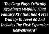 The Critically Acclaimed MMORPG | Know Your Meme