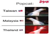 Popcat.click | Know Your Meme