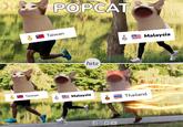 Popcat.click | Know Your Meme