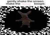 gently shake the screen. Make the bingus boogie. | Gently Shake The ...
